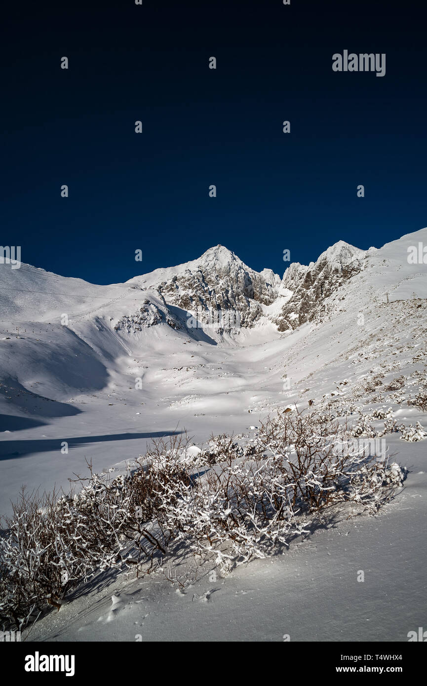 The High Tatra (Vysoké Tatry) in Slovakia Stock Photo - Alamy