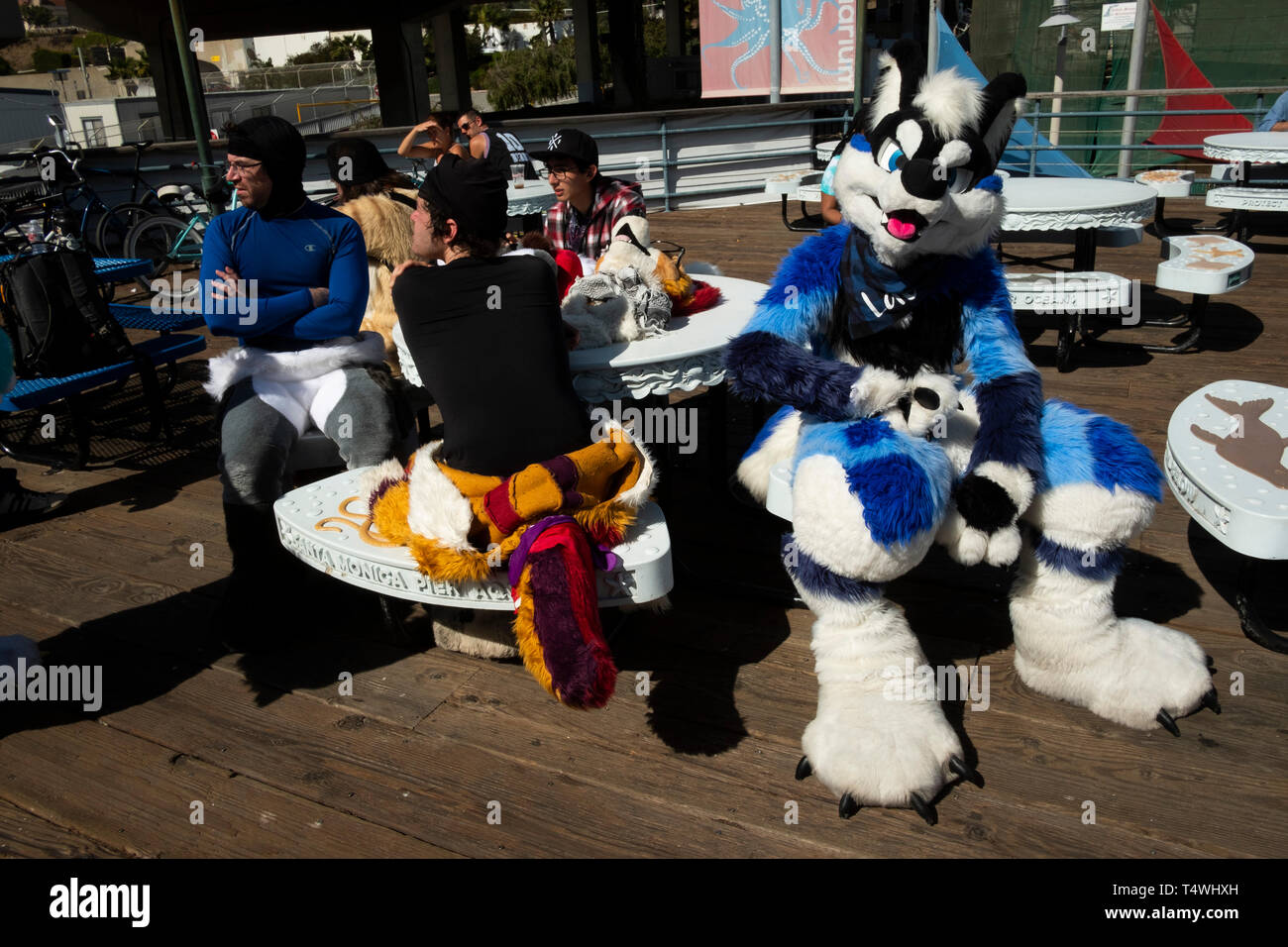 Furries hi-res stock photography and images - Alamy