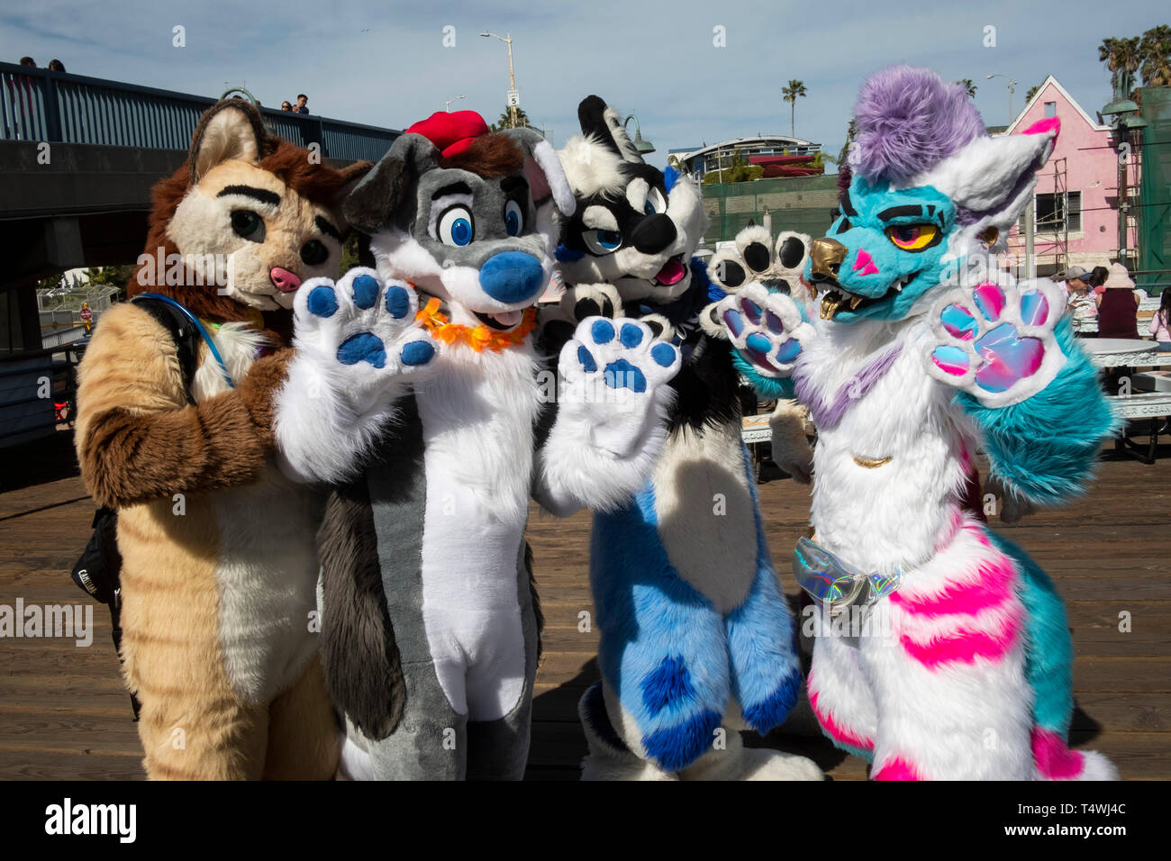 Furry Examples