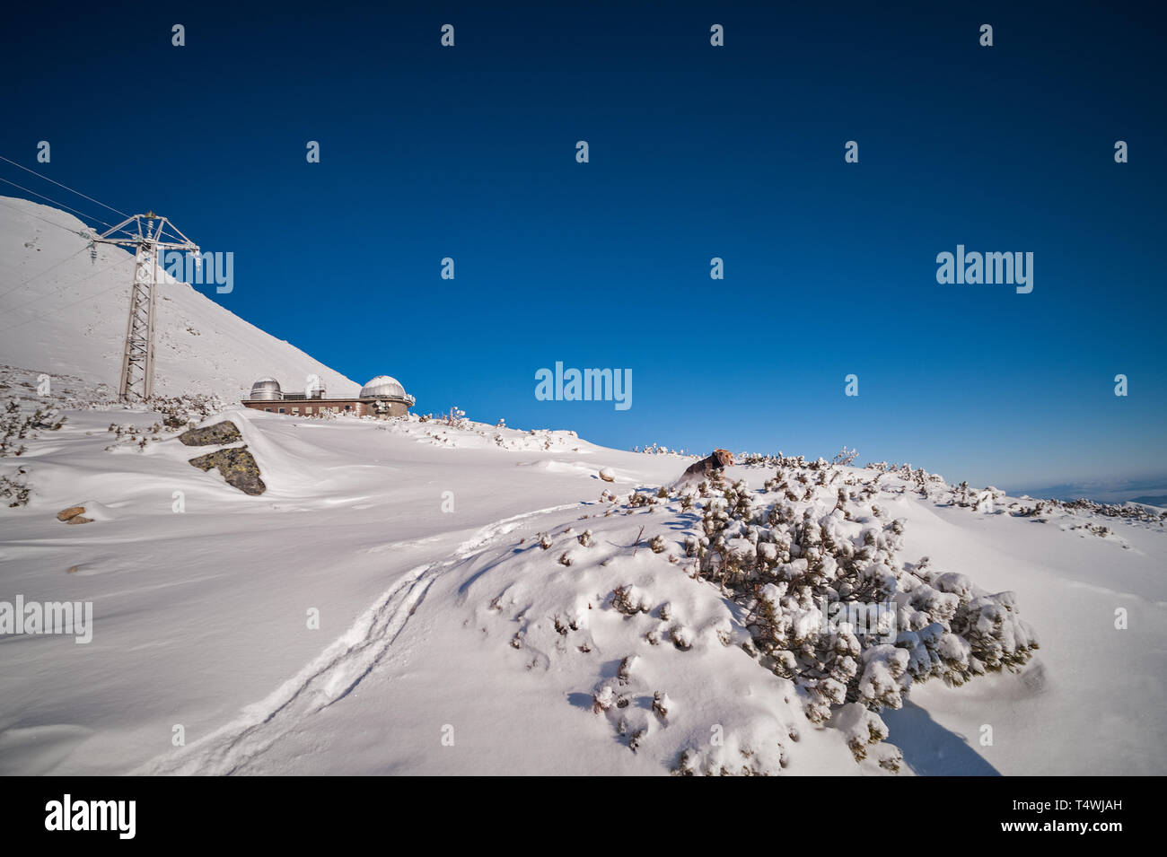 The High Tatra (Vysoké Tatry) in Slovakia Stock Photo - Alamy