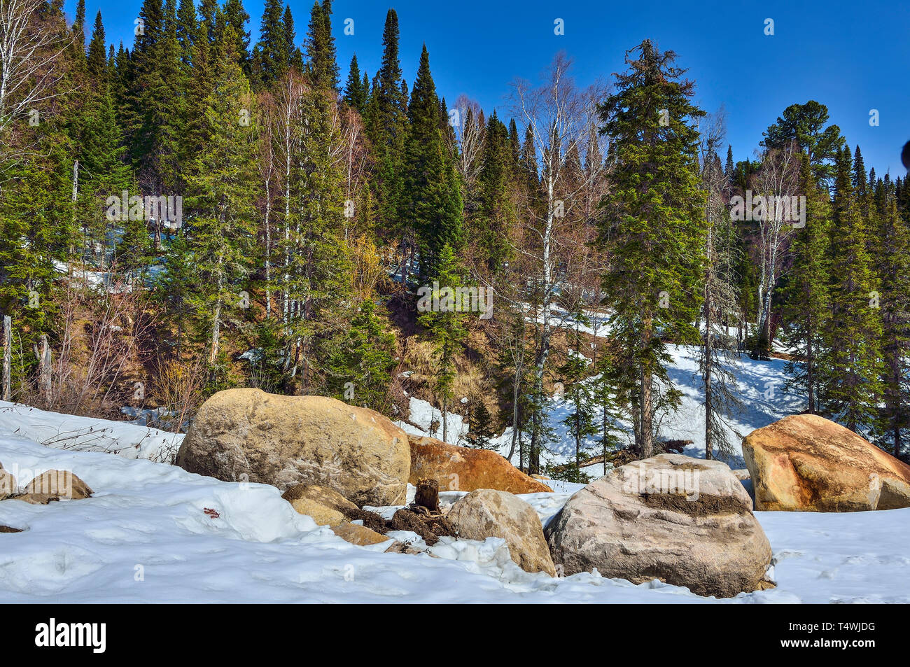 Siberia landscape hi-res stock photography and images - Alamy