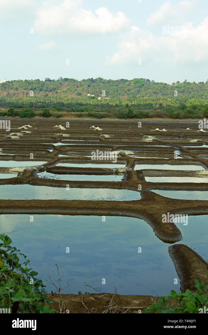 Goa paddy fields hi-res stock photography and images - Alamy