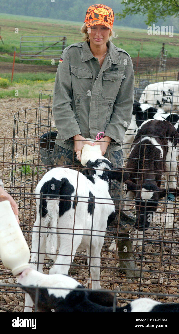 Simple Life Paris Hilton High Resolution Stock Photography and Images ...