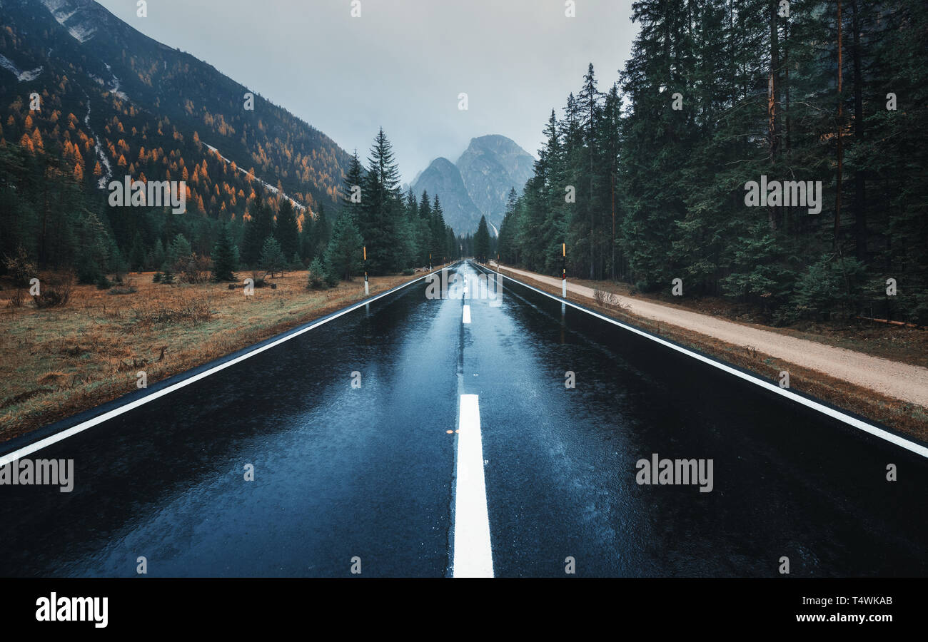 Road in the autumn forest in rain. Perfect asphalt mountain road in ...