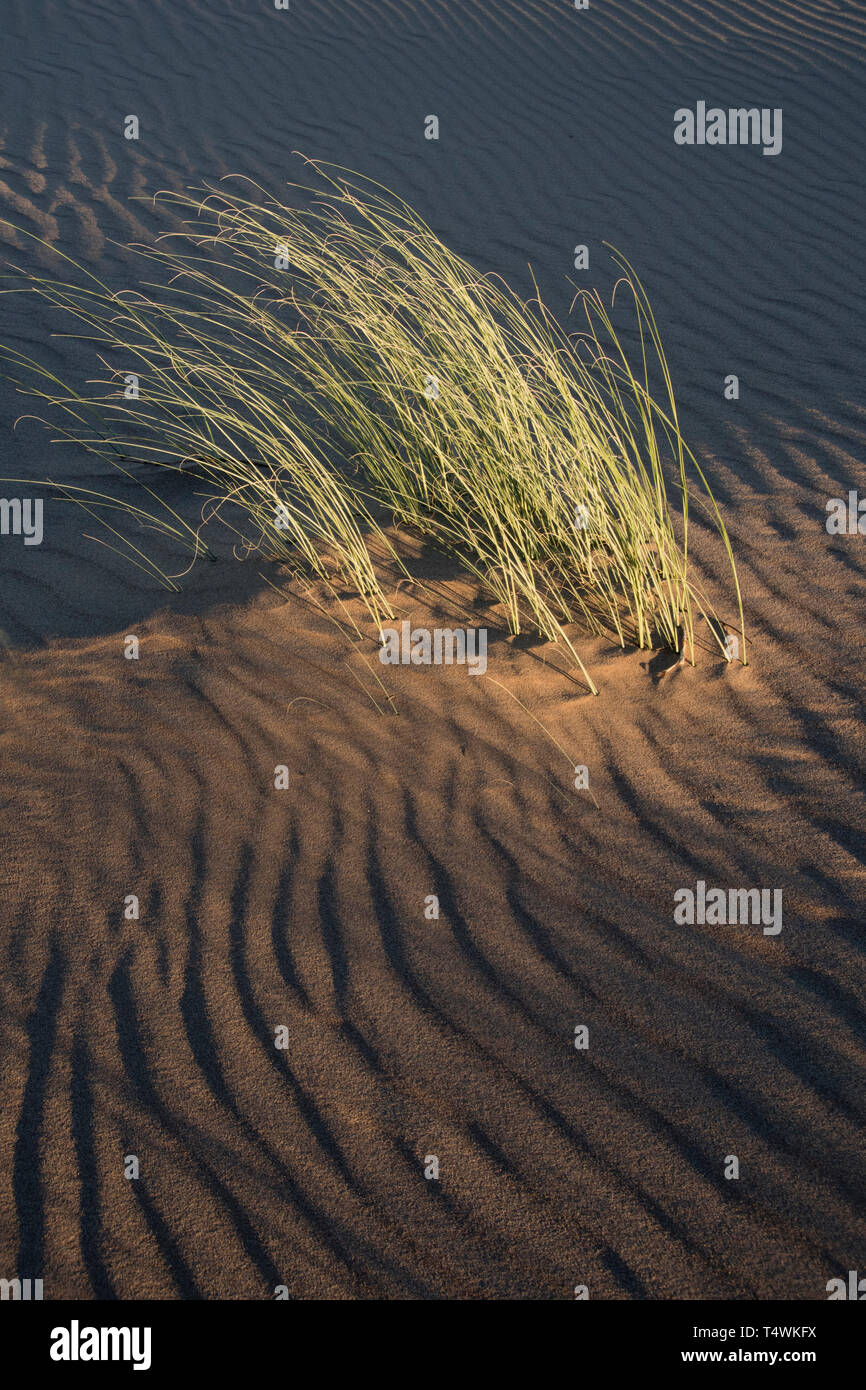 Sand Dune patterns, Rincon Chico, Valdes Peninsula, Patagonia ...