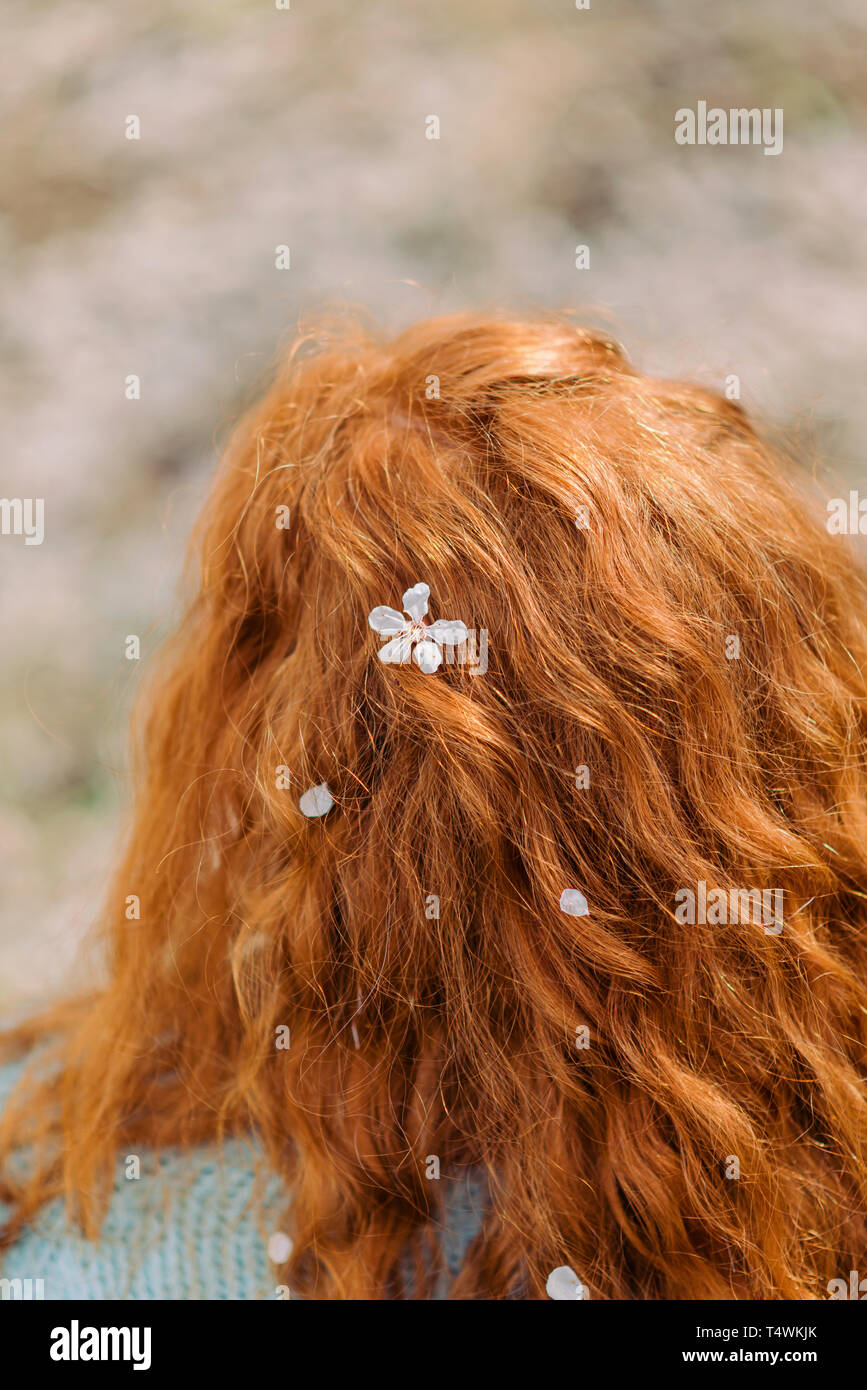 Long curly red hair back hi-res stock photography and images - Alamy