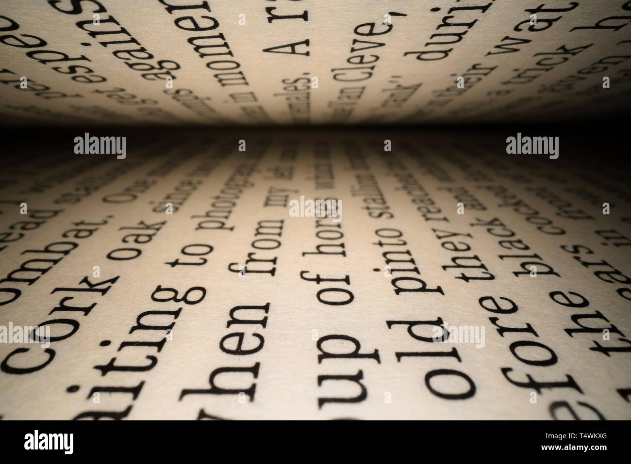 Inside the book concept. Latin letters and words on an open book with ...