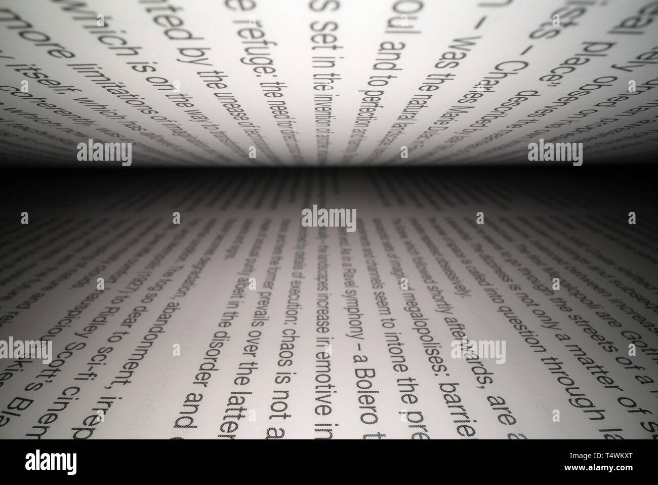 Inside the book concept. Latin letters and words on an open book with ...