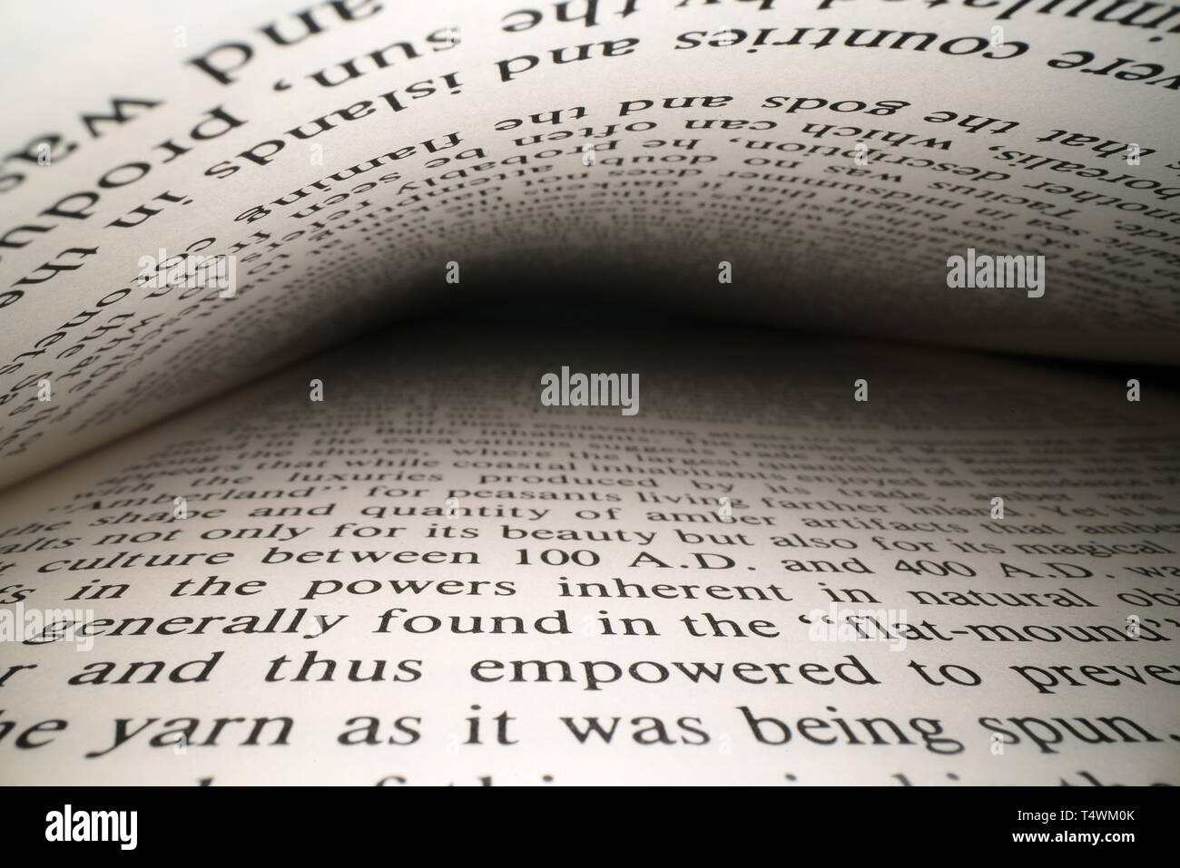 Inside the book concept. Latin letters and words on an open book with ...