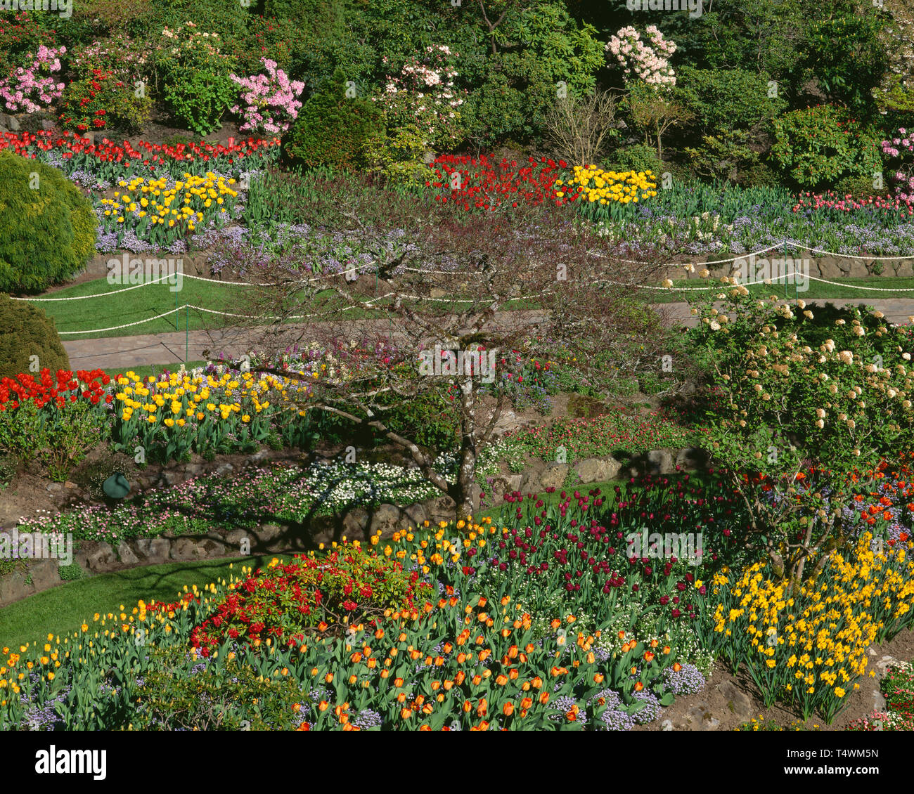 Canada, British Columbia, Victoria, Colorful floral display at Butchart ...