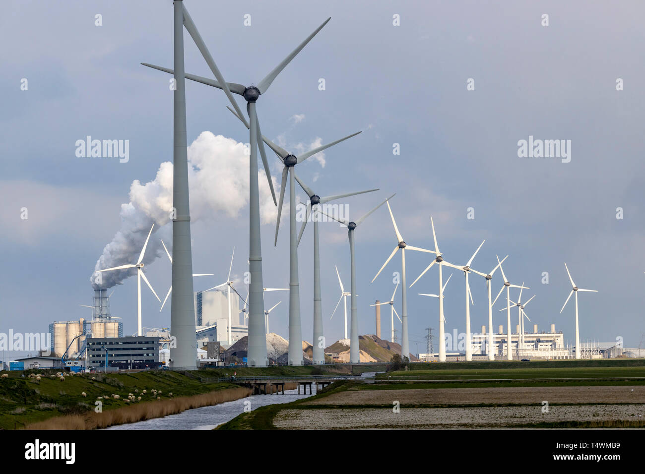 Rwe eemshaven coal fired power plant hi-res stock photography and ...