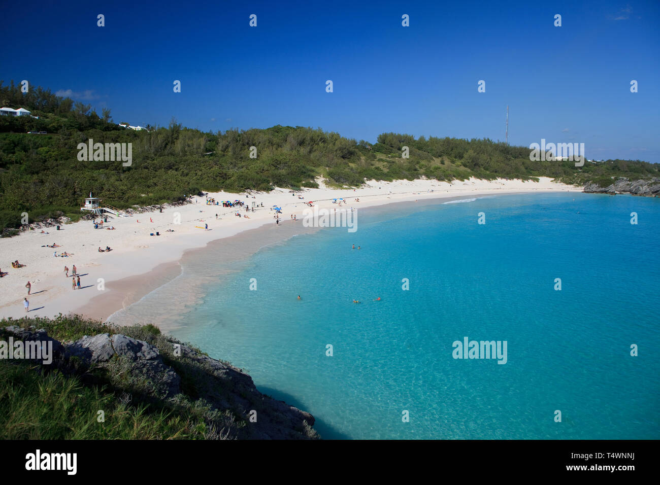 Bermuda, Southhampton Parish, Warwick Long bay Beach Stock Photo - Alamy