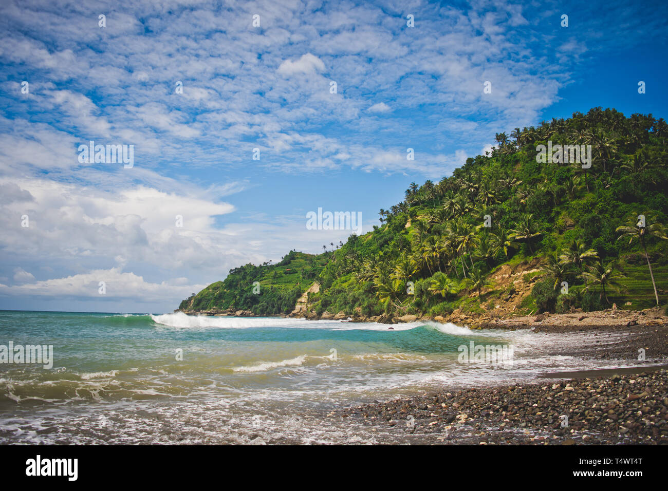 Wet java hi-res stock photography and images - Alamy