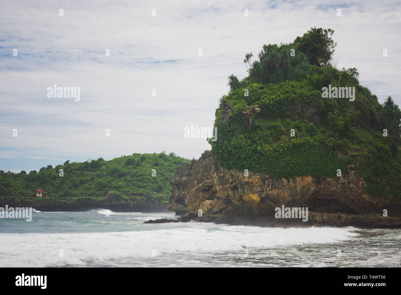 Wet java hi-res stock photography and images - Alamy
