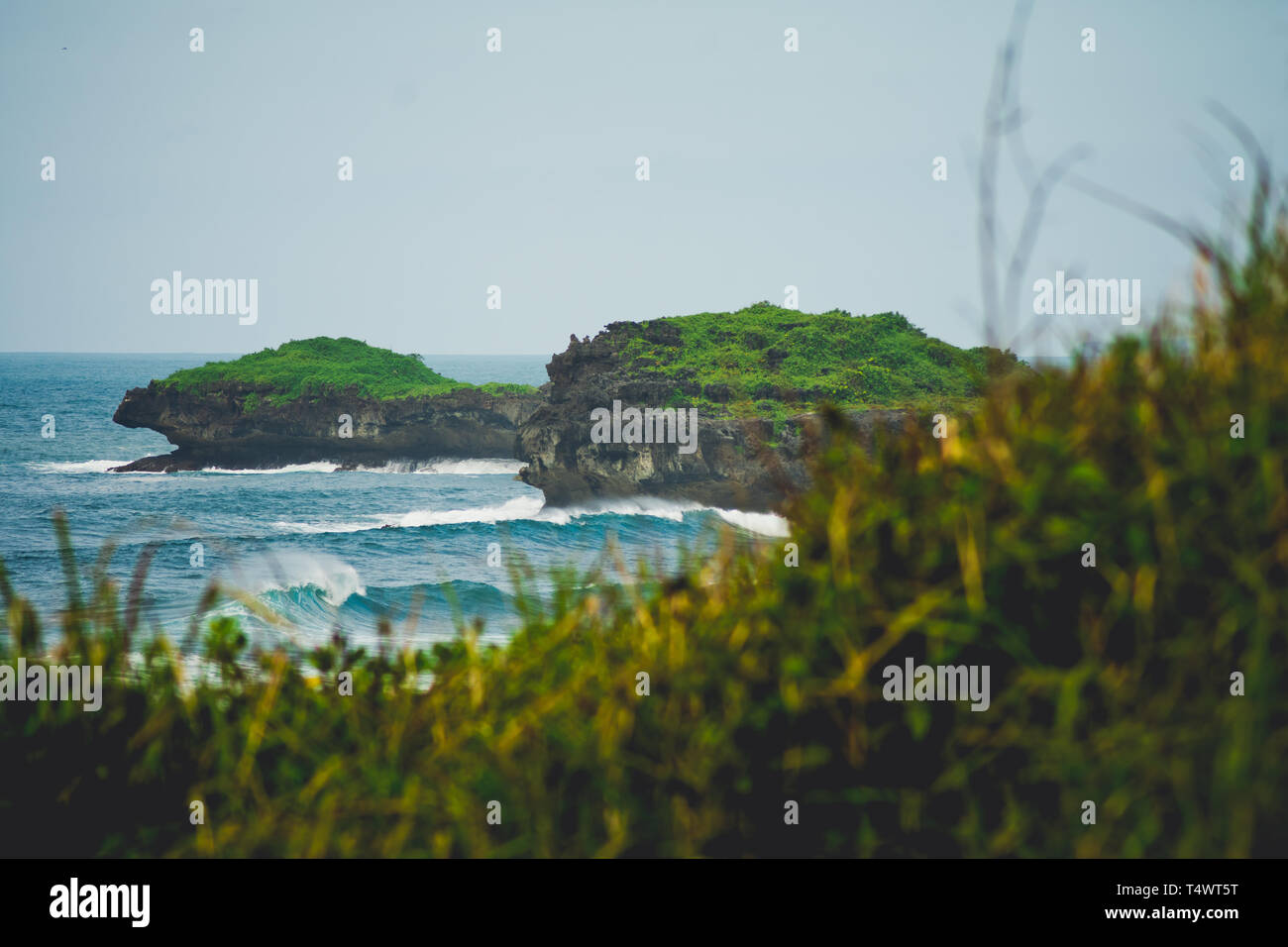 Wet java hi-res stock photography and images - Alamy