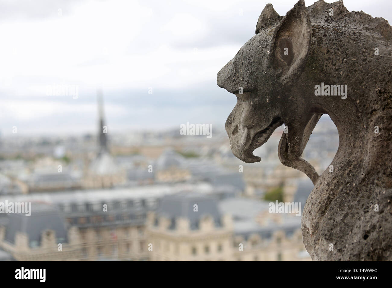 Terrifying statue of a gargoyle the mythical winged monster with his ...