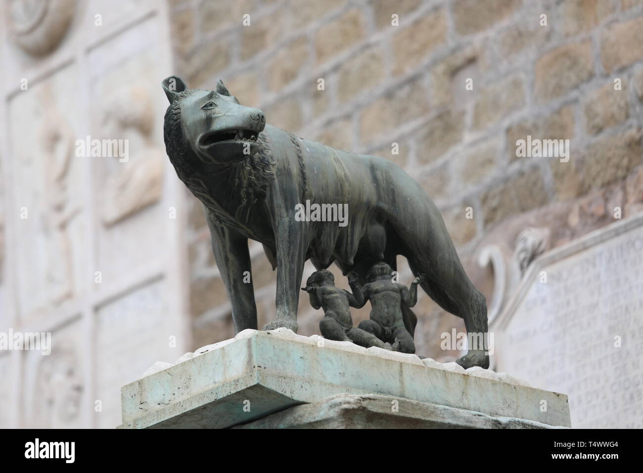 Sculpture of the lupa capitolina suckling the twins romulus remus hi ...