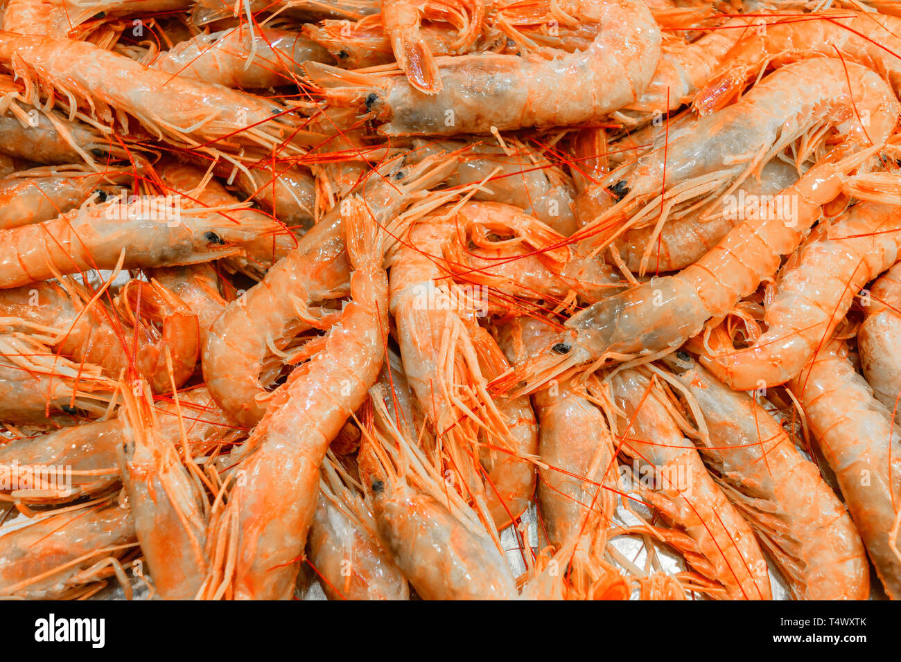 Background of fresh pink prawns in local Athens fish market, Greece ...