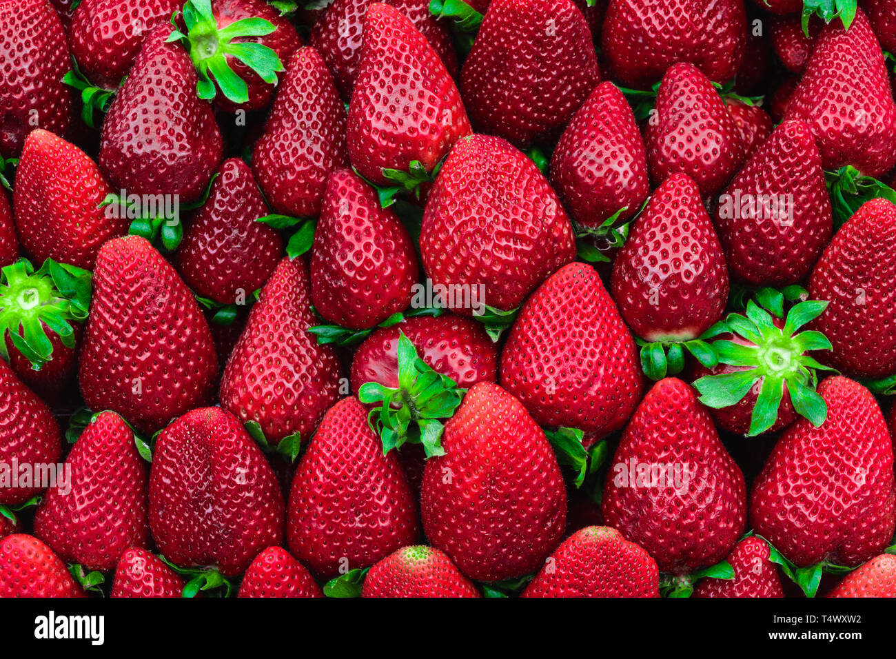 Big strawberries hi-res stock photography and images - Alamy