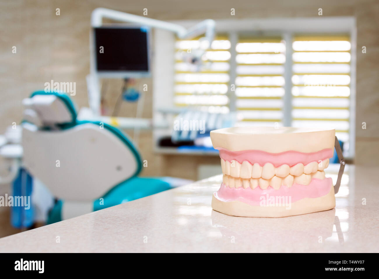 Human jaw models at a dentist office, teeth care and prosthetics ...