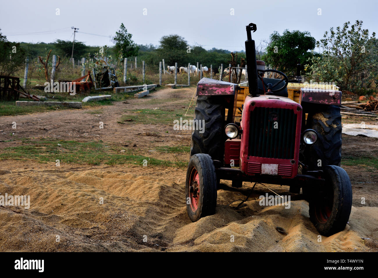single tractor on a field Stock Photo - Alamy