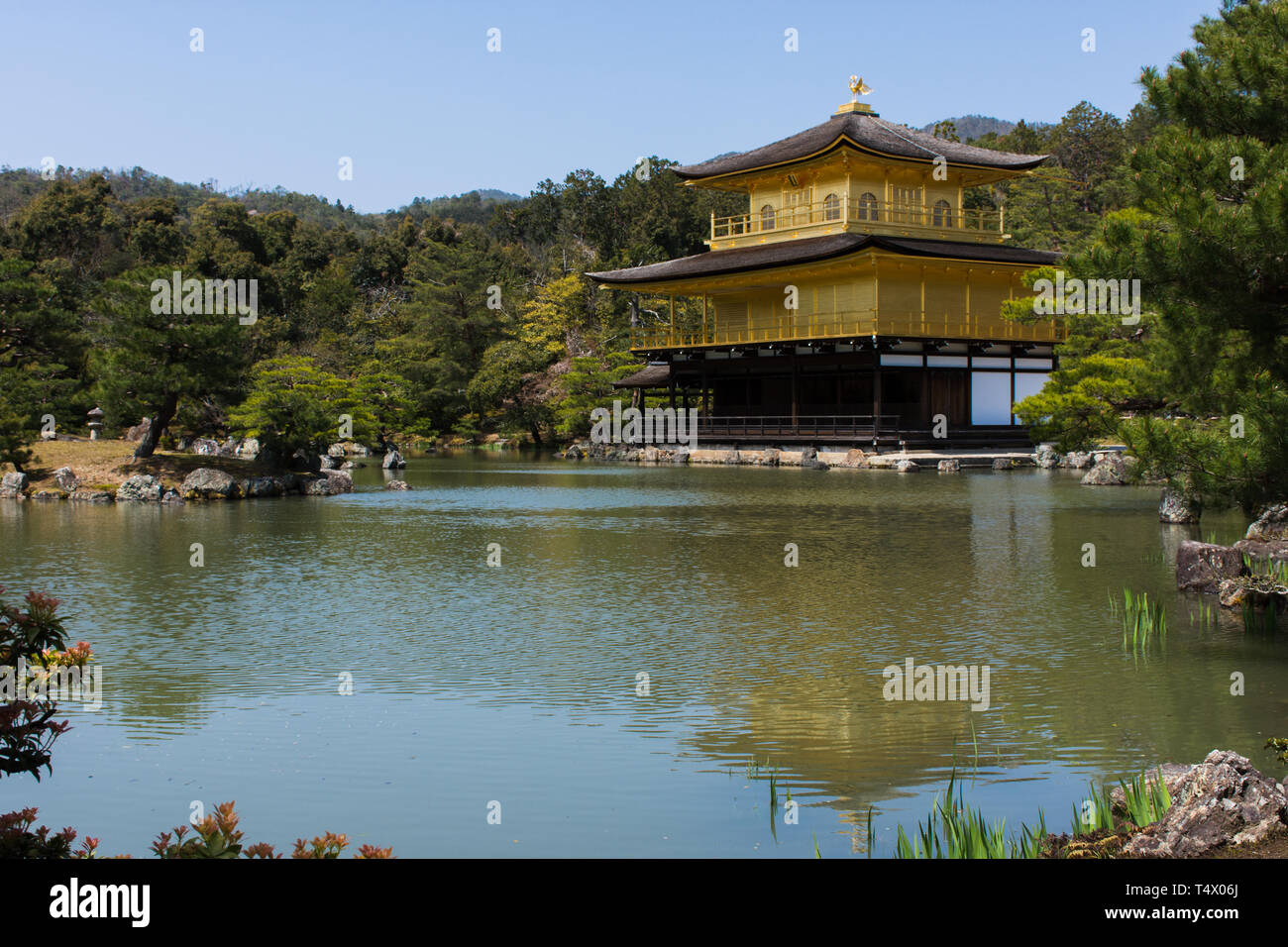 Golden Pavilion (Kinkaku-ji) in Kyoto Stock Photo - Alamy