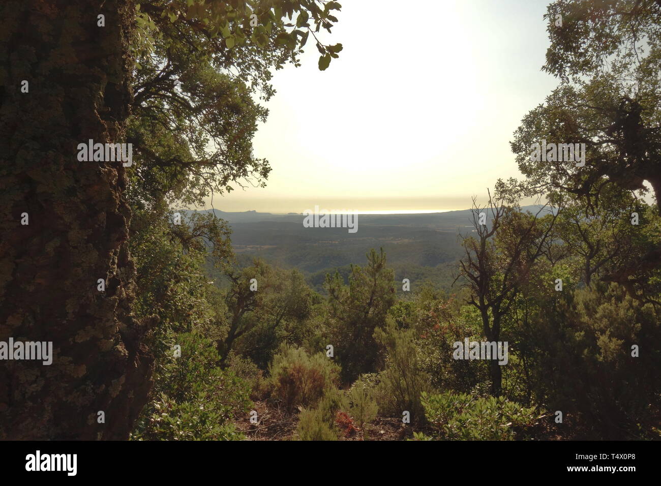 a view from the top of a mountain Stock Photo - Alamy
