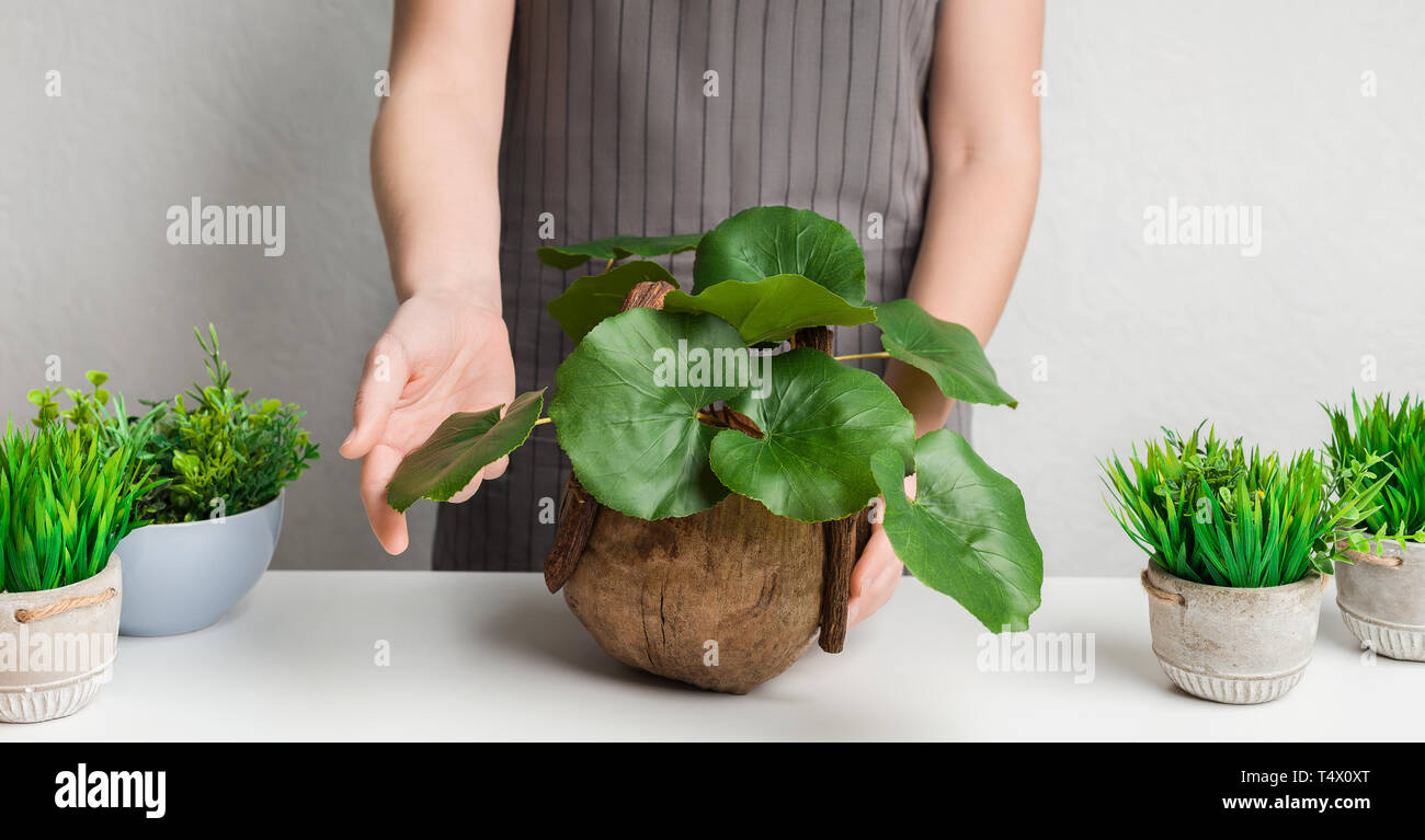 Looking after the crop hi-res stock photography and images - Alamy