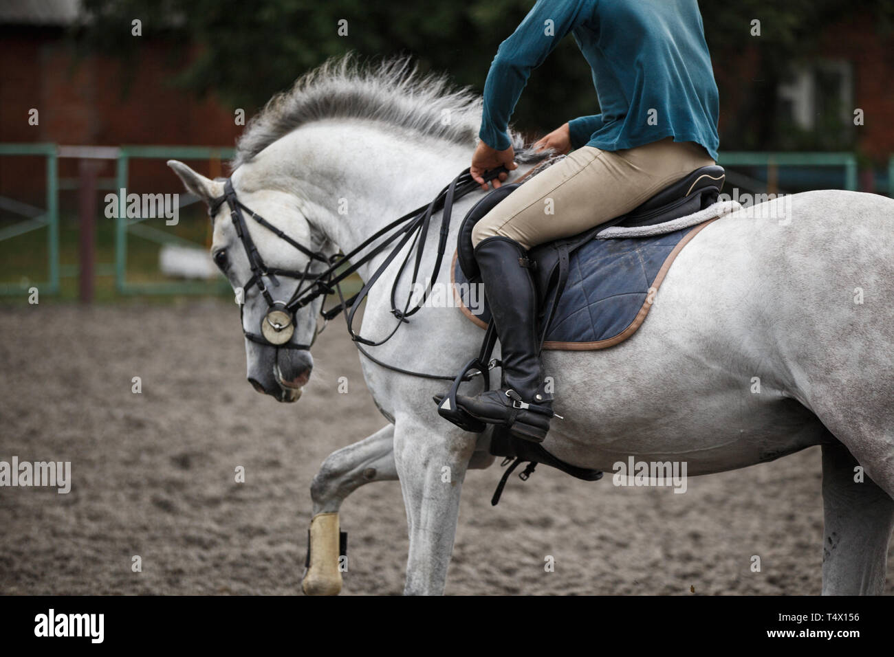 Man riding white horse hi-res stock photography and images - Alamy