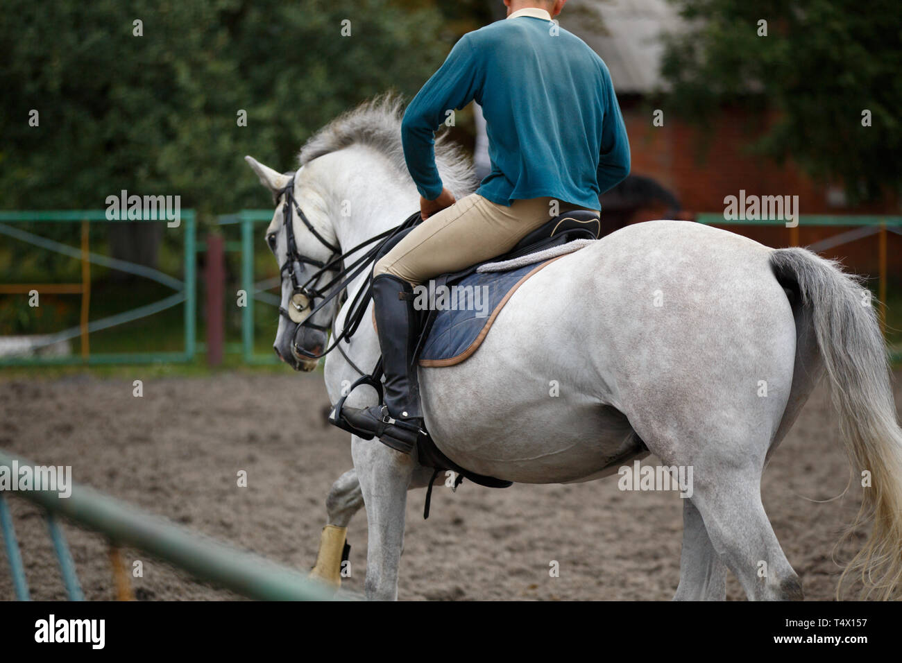 Man riding white horse hi-res stock photography and images - Alamy