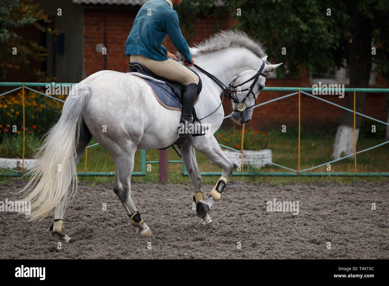 Man sport activities strong hi-res stock photography and images - Alamy