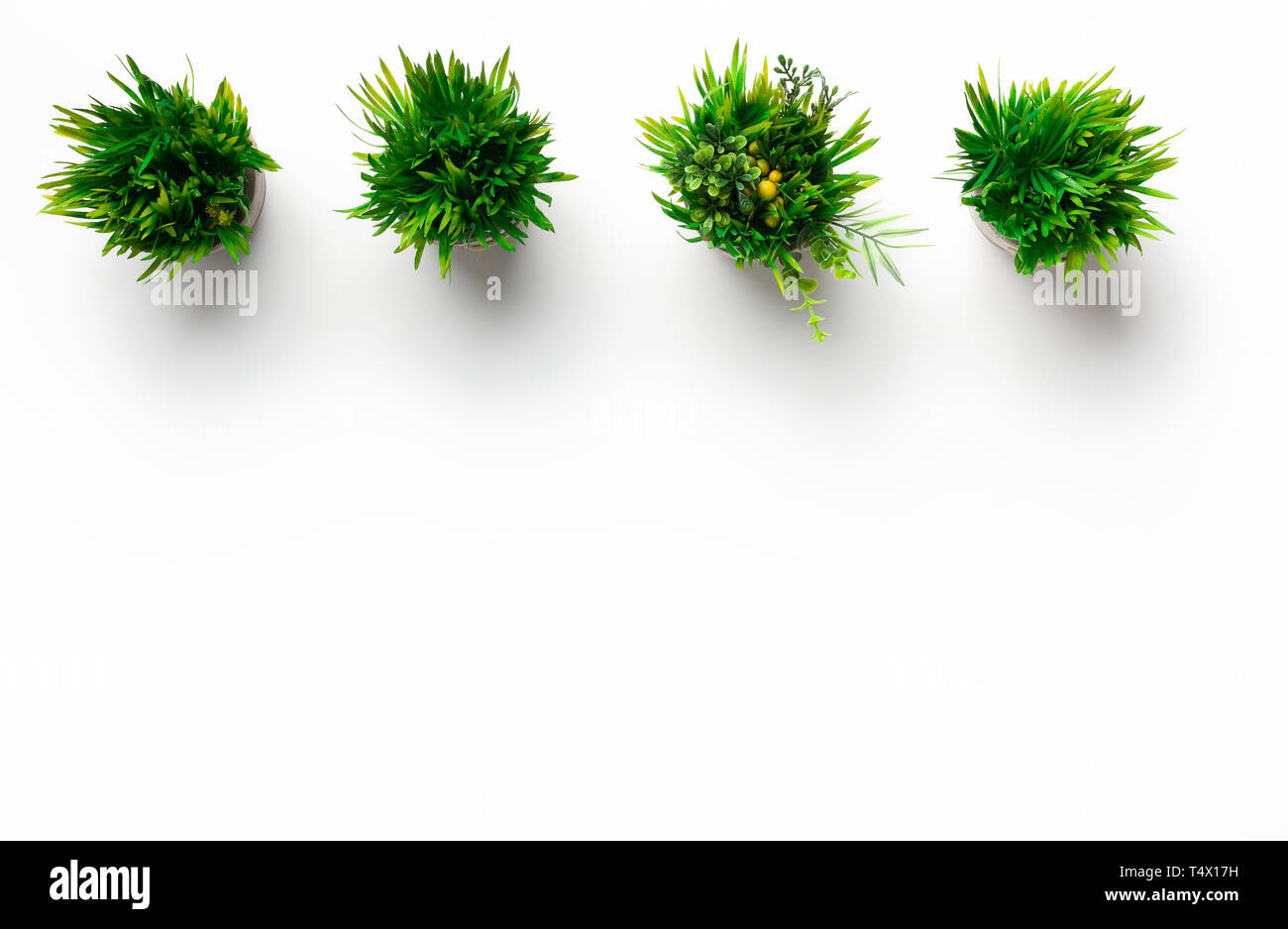 Small green plants round Cut Out Stock Images & Pictures - Alamy