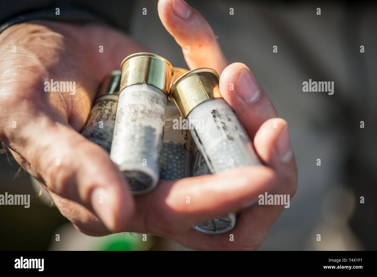 Hand holding bullets cartridge bullet hi-res stock photography and ...