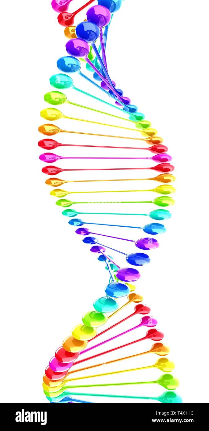 DNA structure model Stock Photo - Alamy