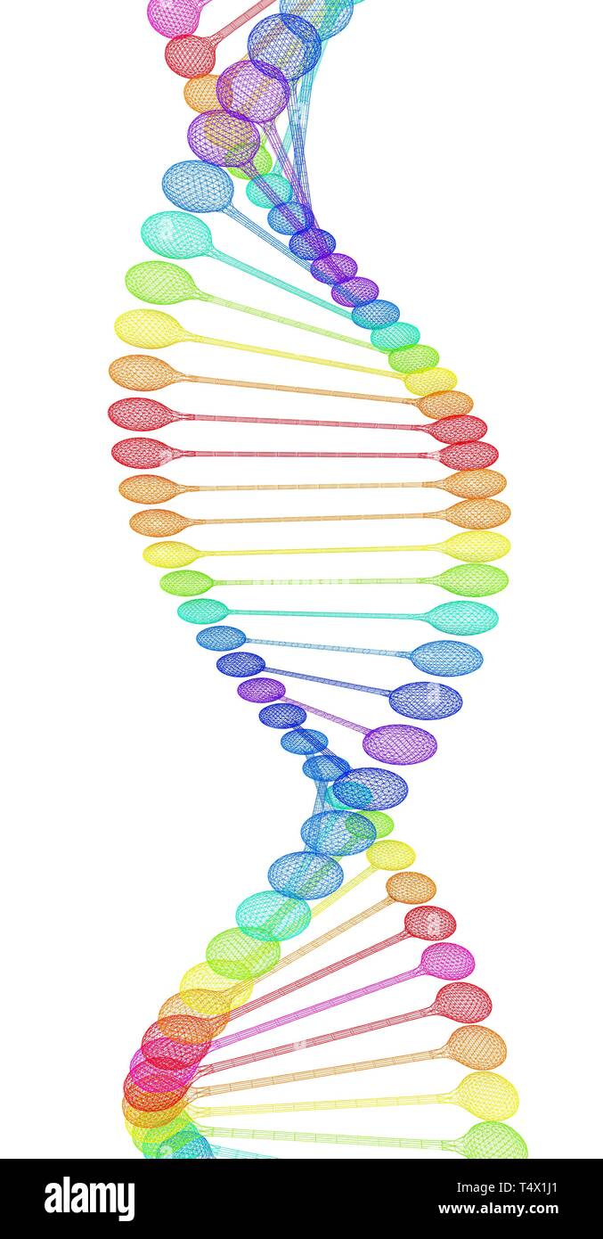 DNA structure model Stock Photo - Alamy