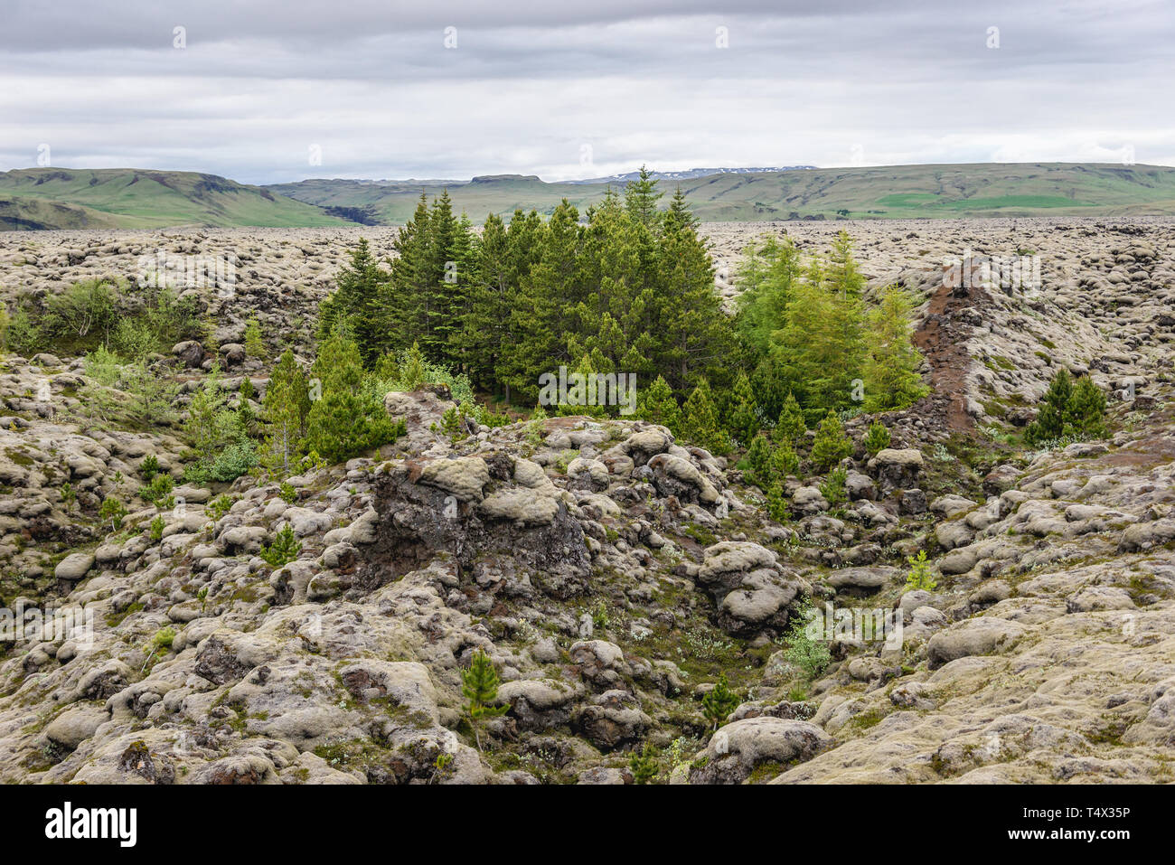 Lava field fields hi-res stock photography and images - Alamy