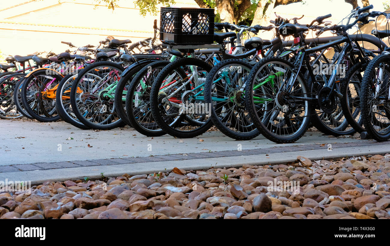 Student-owned bicycles parked at a bike rack on the campus of Texas A&M University in College ...