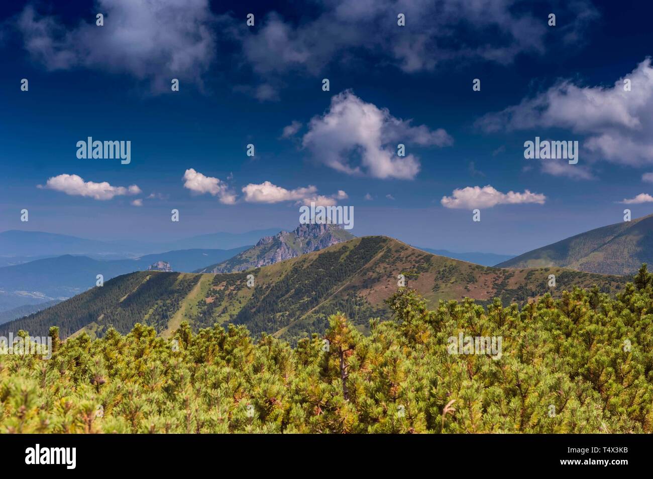 Lesser Fatra (Slovakian: Malá Fatra), Slovakia Stock Photo - Alamy