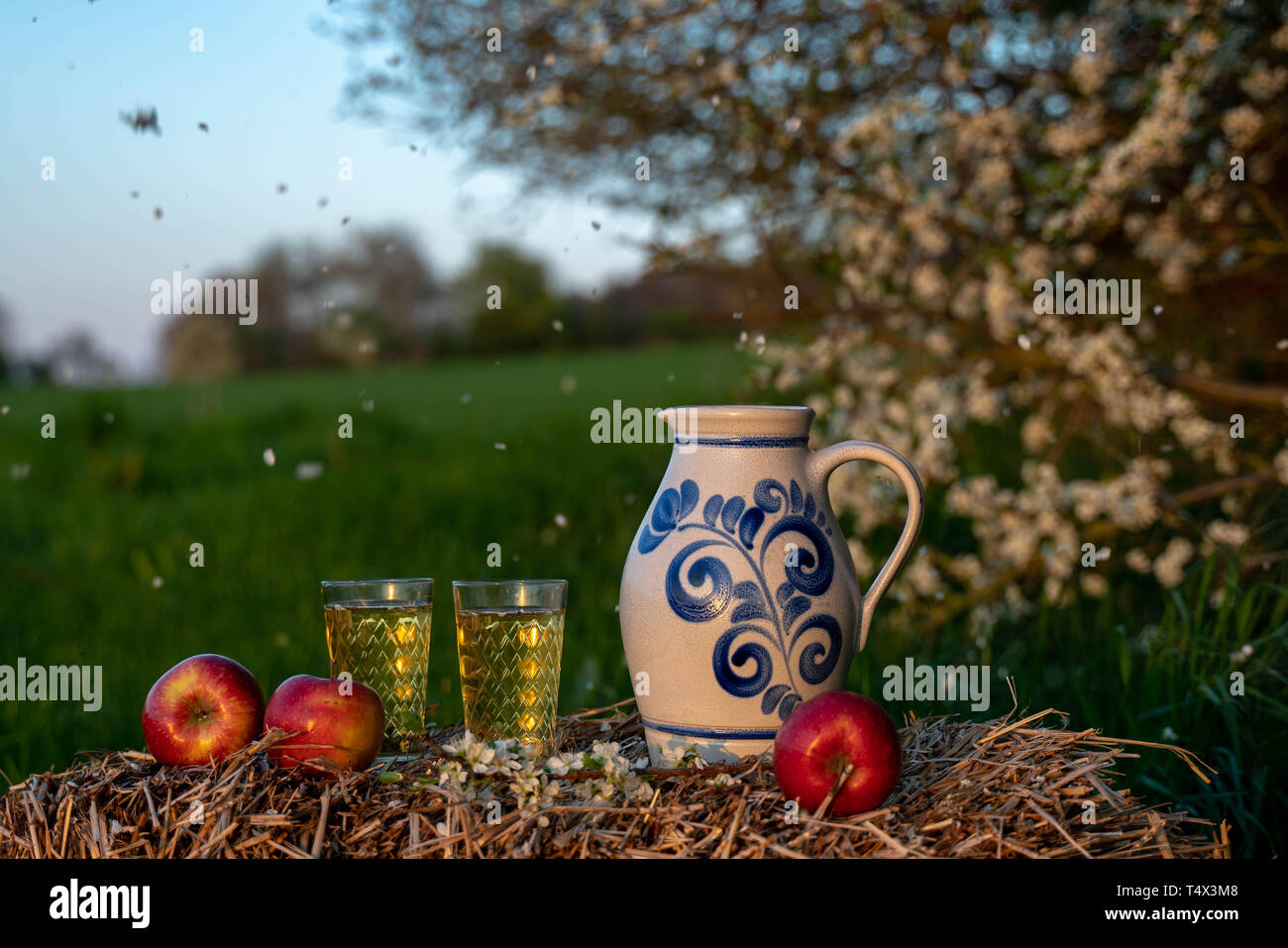 Traditional German Apple Wine from the Hesse Region. Wine in an old jug ...