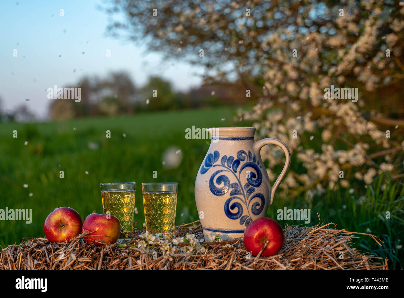 Traditional German Apple Wine from the Hesse Region. Wine in an old jug ...