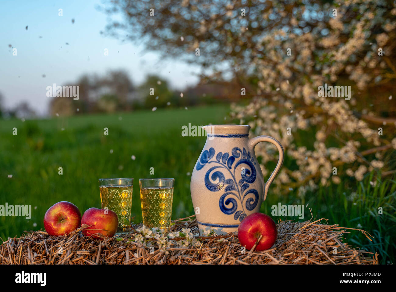 Traditional German Apple Wine from the Hesse Region. Wine in an old jug ...