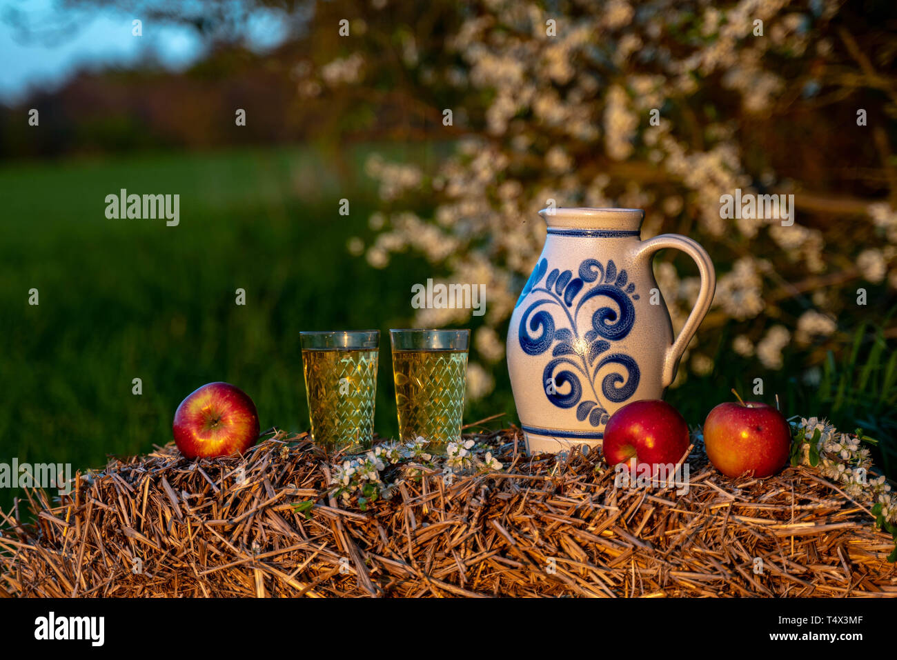 Traditional German Apple Wine from the Hesse Region. Wine in an old jug ...