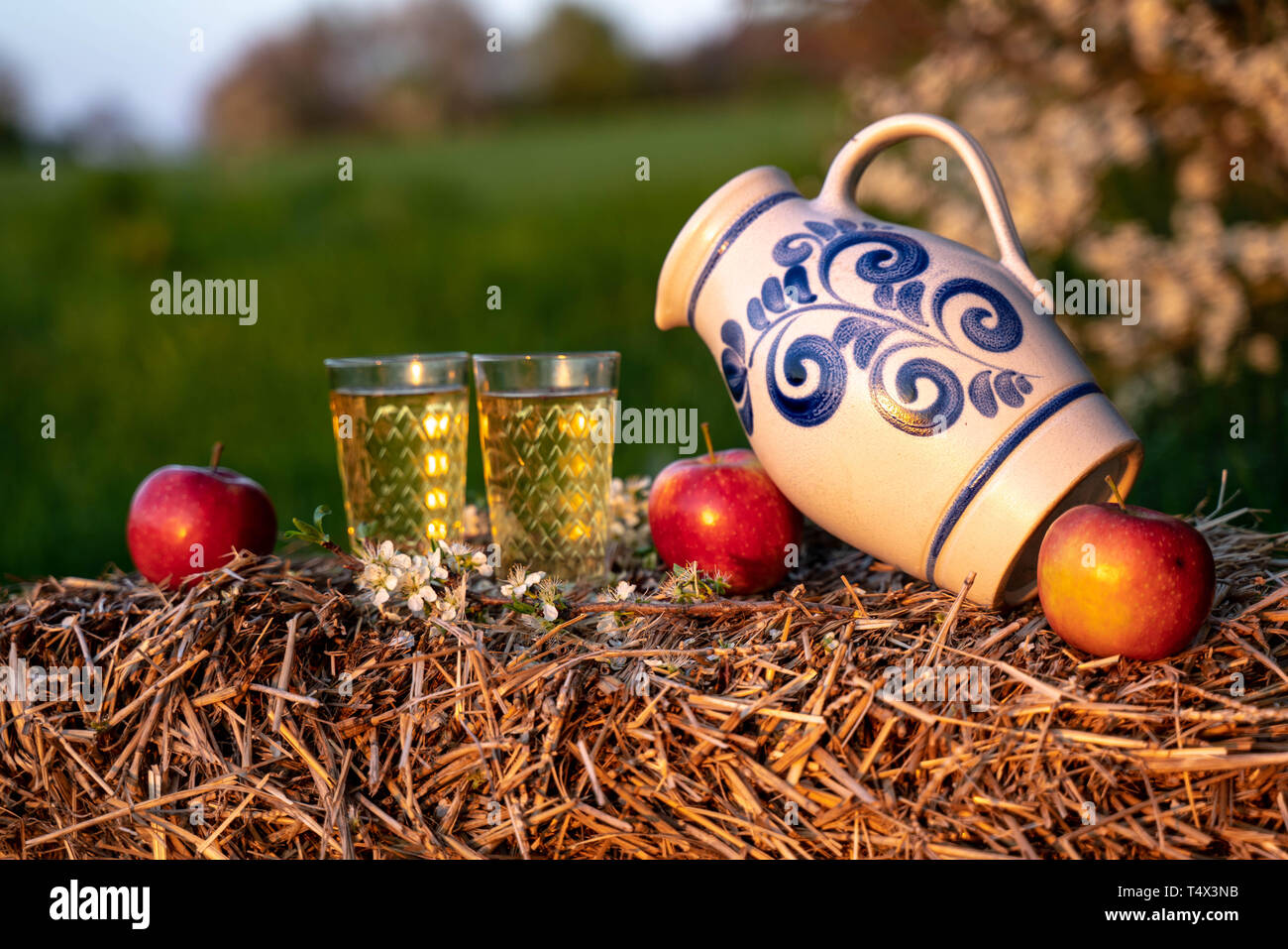 Traditional German Apple Wine from the Hesse Region. Wine in an old jug ...