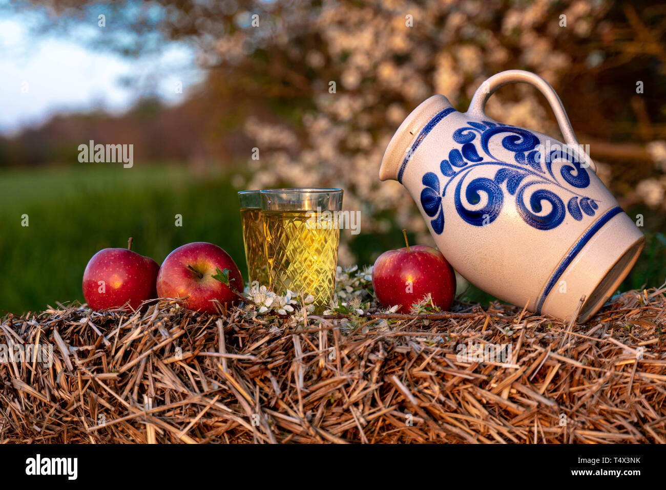 Traditional German Apple Wine from the Hesse Region. Wine in an old jug ...