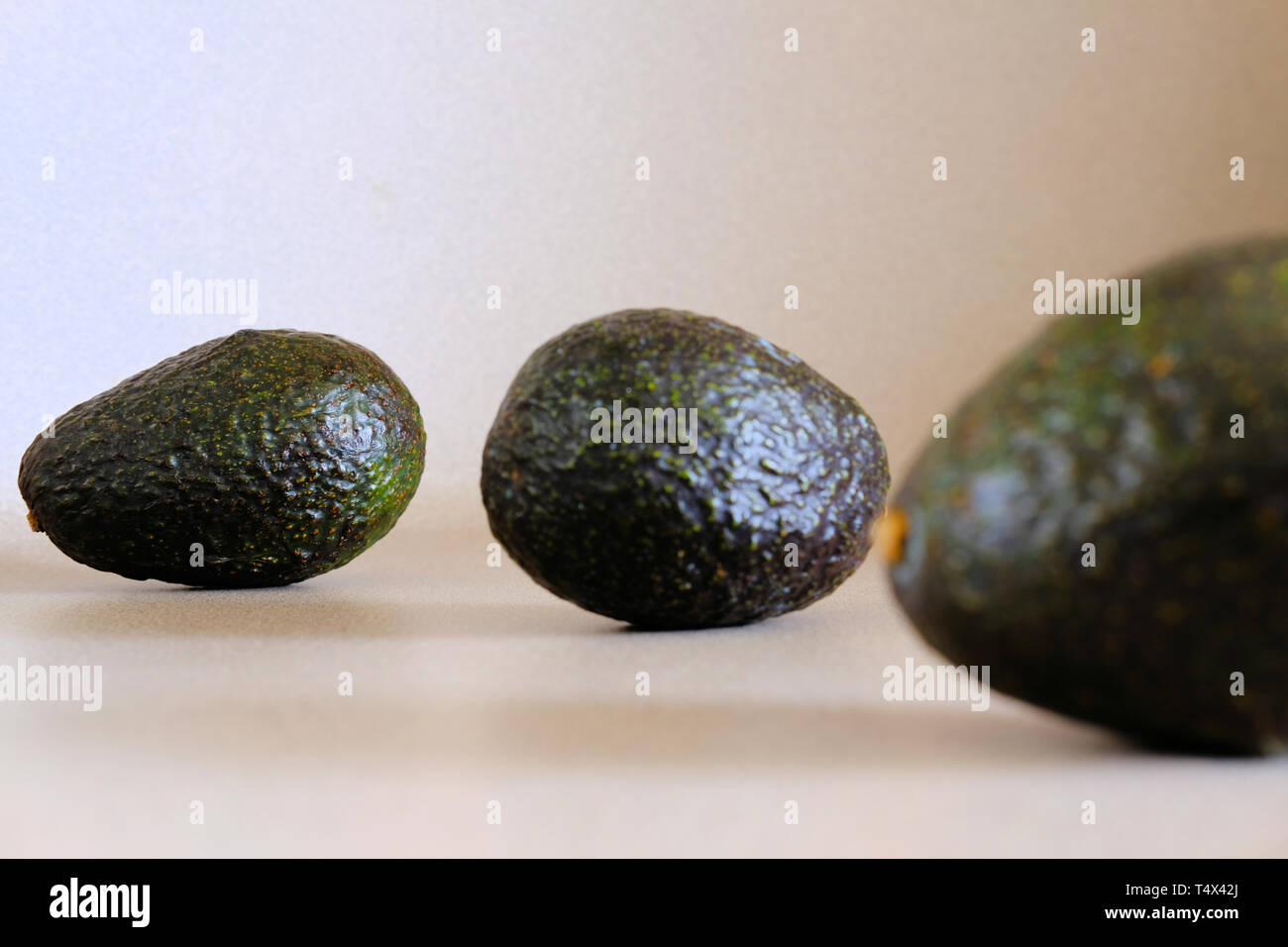 Three avocados (persea americana) on a light colored surface; avocado ...