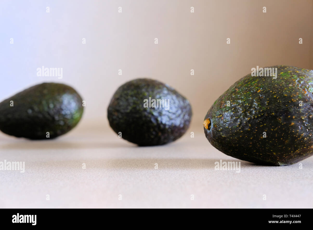 Three avocados (persea americana) on a light colored surface; avocado ...
