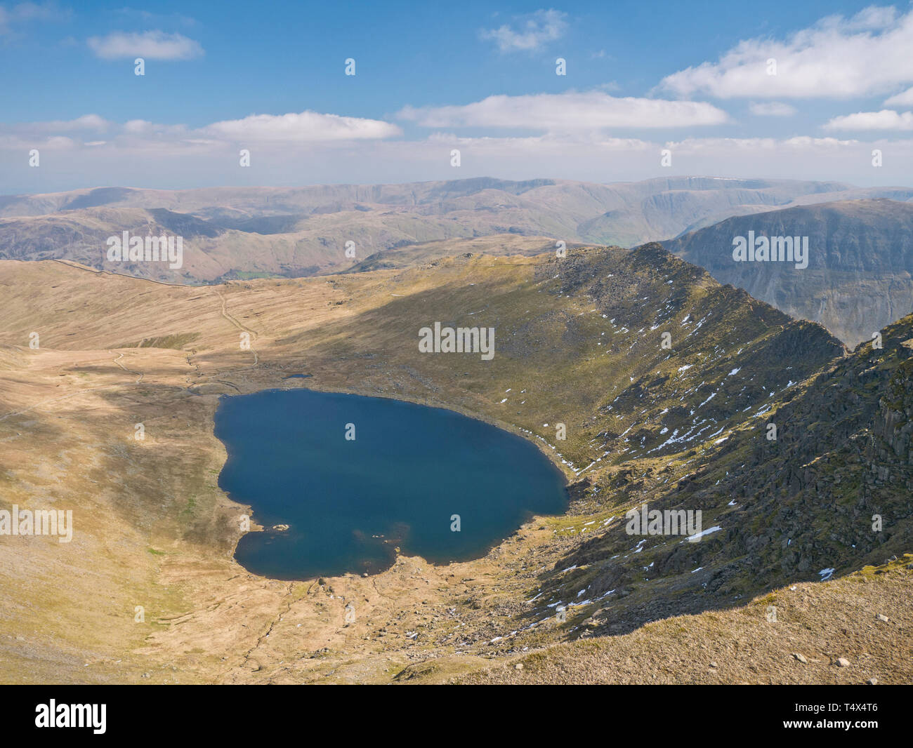 Schelly fish hi-res stock photography and images - Alamy