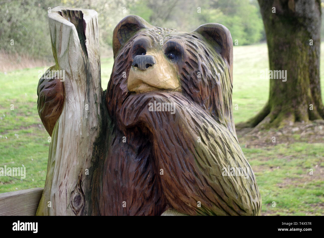 Bear carvings at Cluny Park at Bearsden, Scotland Stock Photo - Alamy