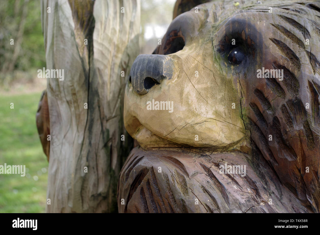 Bearsden hi-res stock photography and images - Alamy