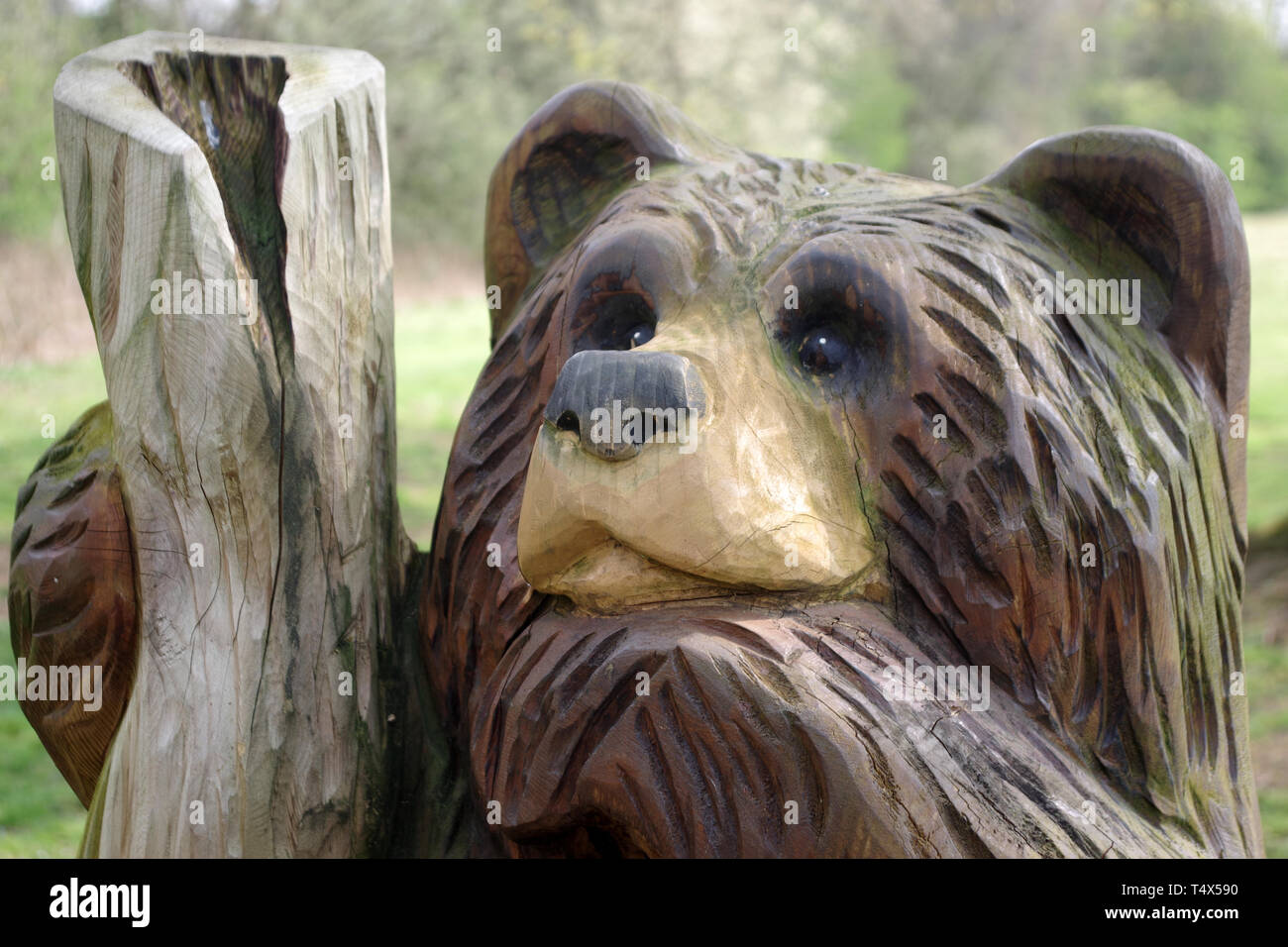 Bear carvings at Cluny Park at Bearsden, Scotland Stock Photo - Alamy